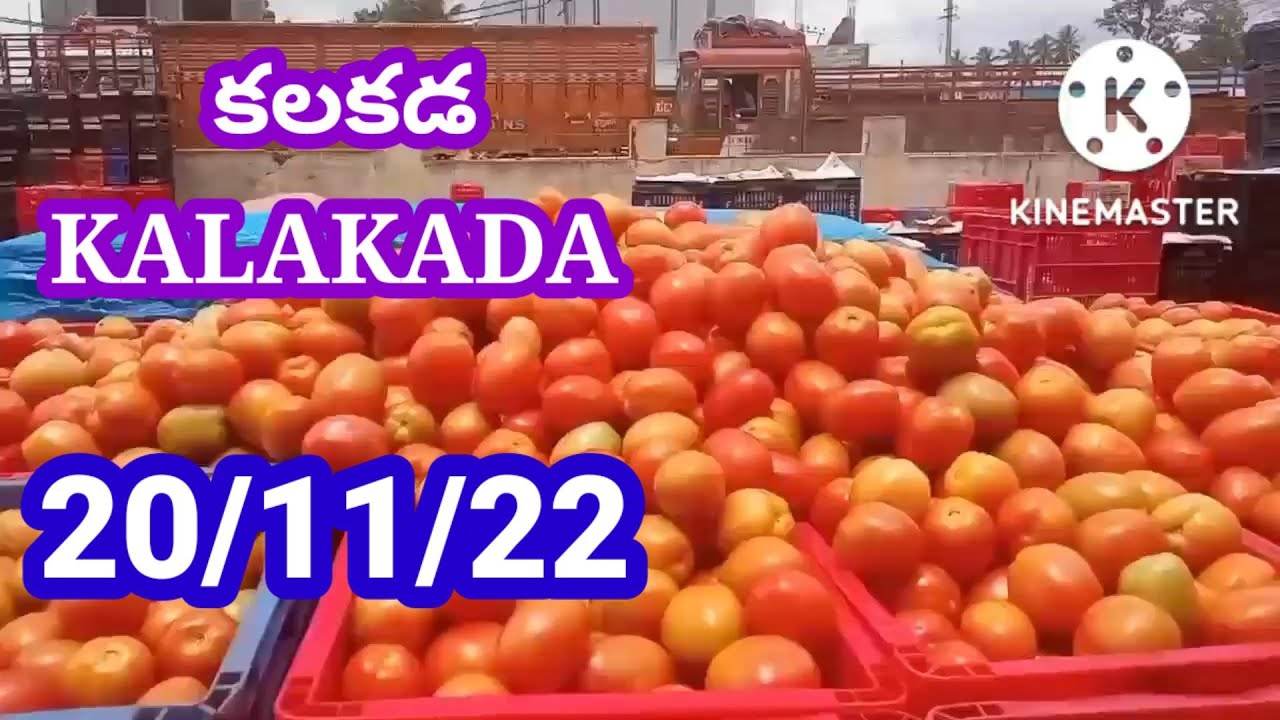 20 November 2022# today Tomato rate in kalakada market # KALAKADA ...