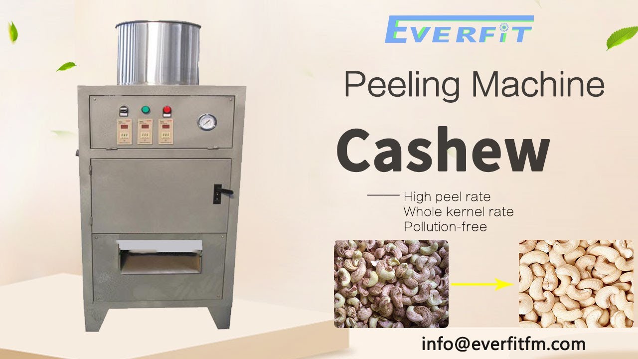 How cashew peeling machine works| Cashew nut peeling machine - YouTube