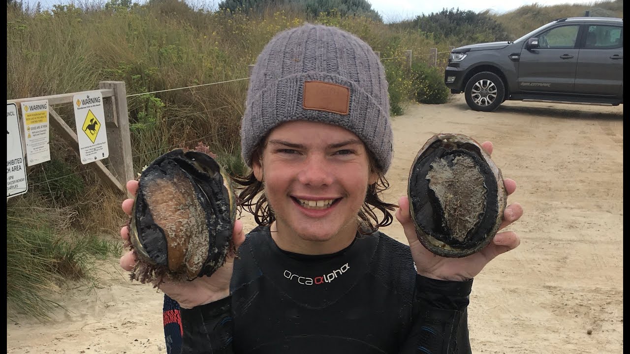 catching Australian abalone, (abalone, catch, clean, cook) Warrnambool ...