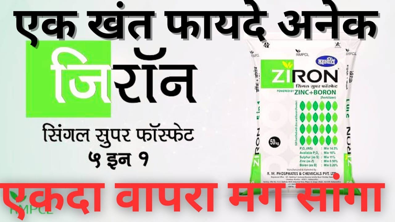 झिरोन सिंगल सुपर फॉस्पेट # ZIRON FERTILIZER # SSP Zink + Boron Granular ...