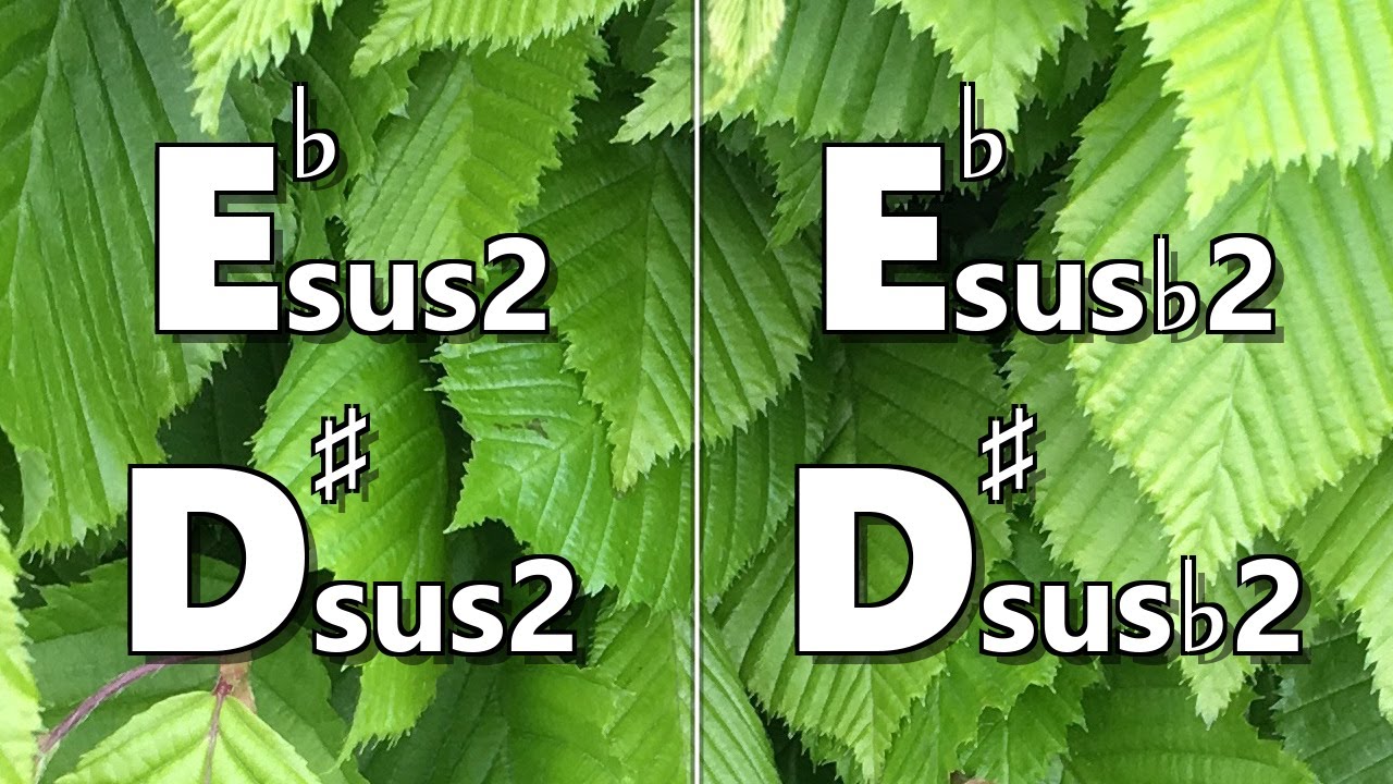 Ebsus2 (D#sus2) to Ebsus b2 (D#sus b2) Backing Track - YouTube