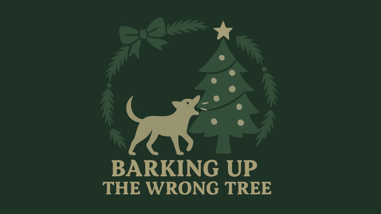 Barking Up the Wrong Tree | Episode 7: The Spotlight Effect - YouTube