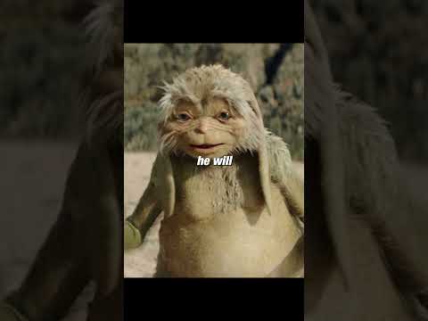What Was Monkey Vag Look Like