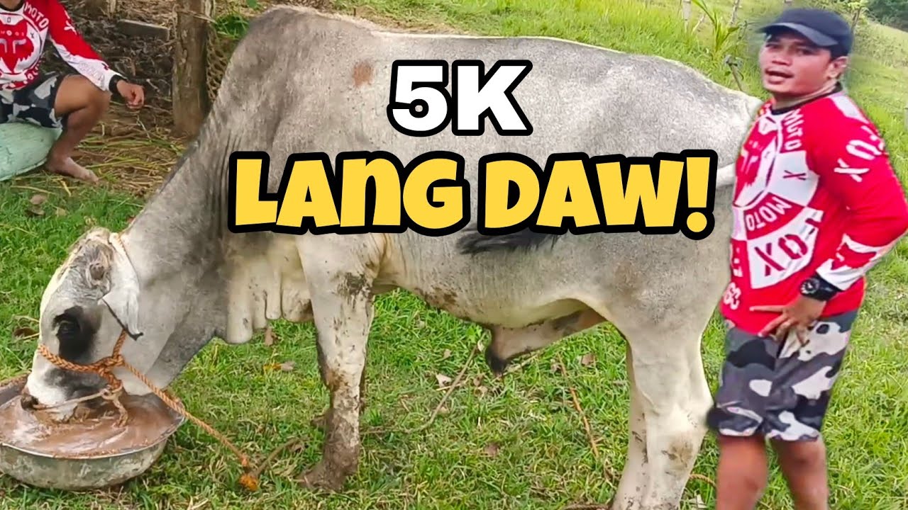 Binenta na lahat ni idol John Riot @johnriot1814 @burdzjason2097 ...