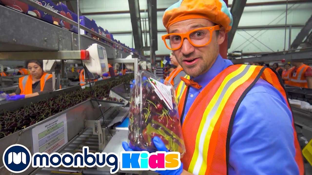 Blippi Visits a Cherry Farm - Blippi | Kids Cartoons & Nursery Rhymes ...