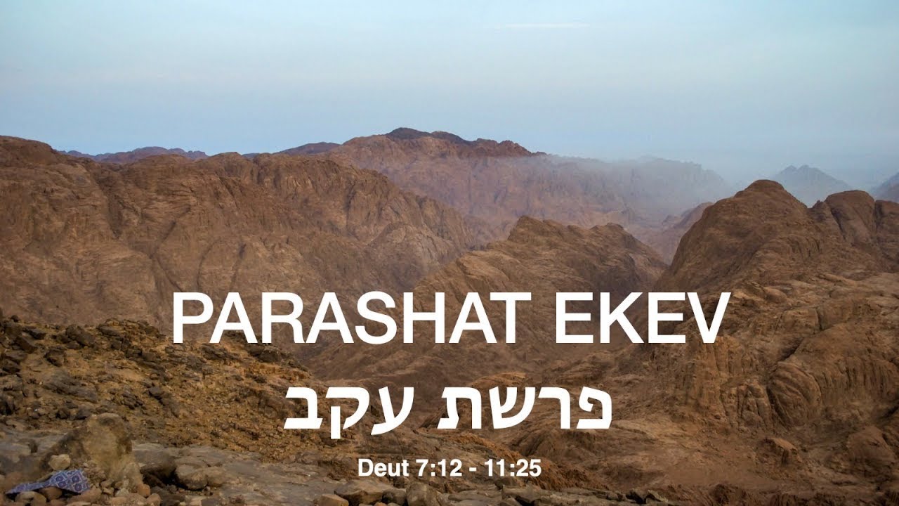 2024-08-17 "Ekev" Life of Worship Torah Portion - "Because" - YouTube