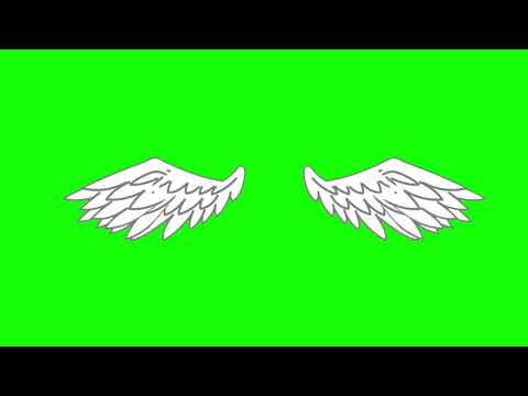 Green Screen White Wing Animation - FREE TO USE | READ PINNED COMMENT ...