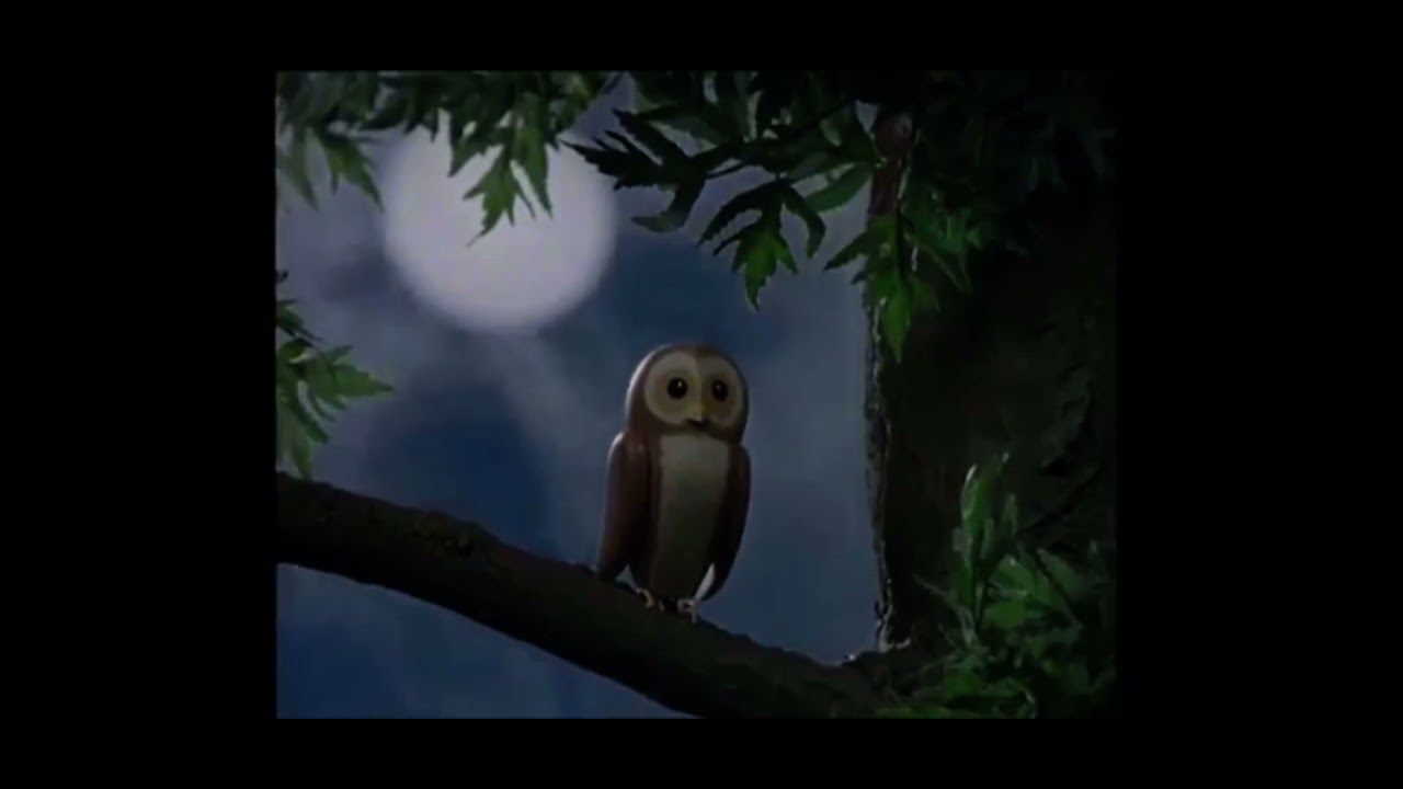 Stupid Bird - Haunted Henry - YouTube