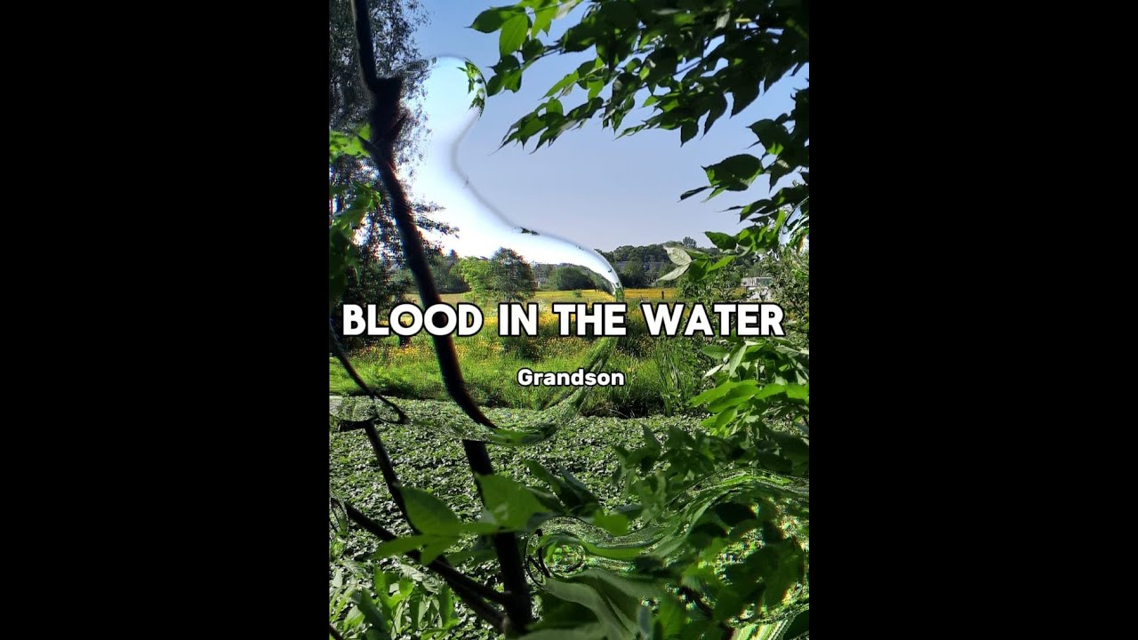 grandson - Blood // Water (Lyrics)🎵 - YouTube