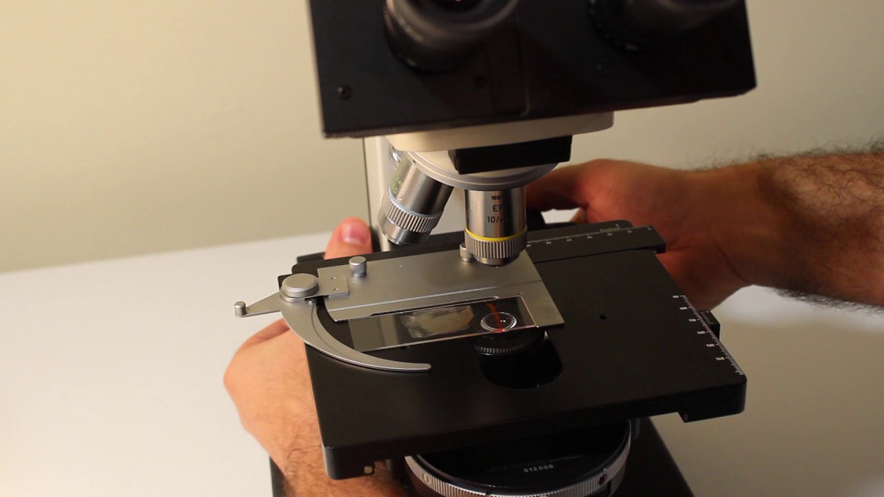 brews-episode-3-focusing-changing-lenses-on-a-microscope-youtube