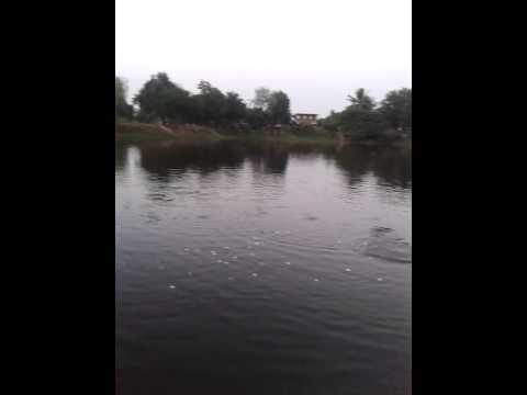 ให้ขนมปังบ่อโคกพิลา