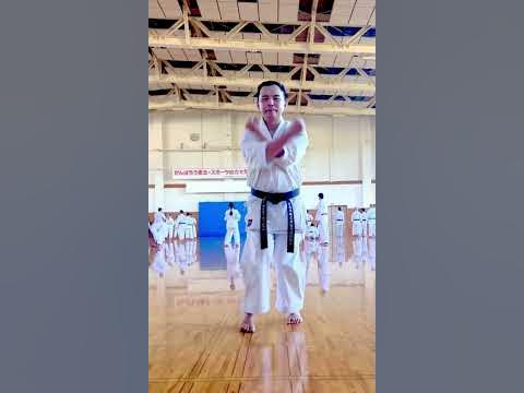 TENSHO KATA GOJU RYU KARATE by Davy Wijaya Sensei - YouTube