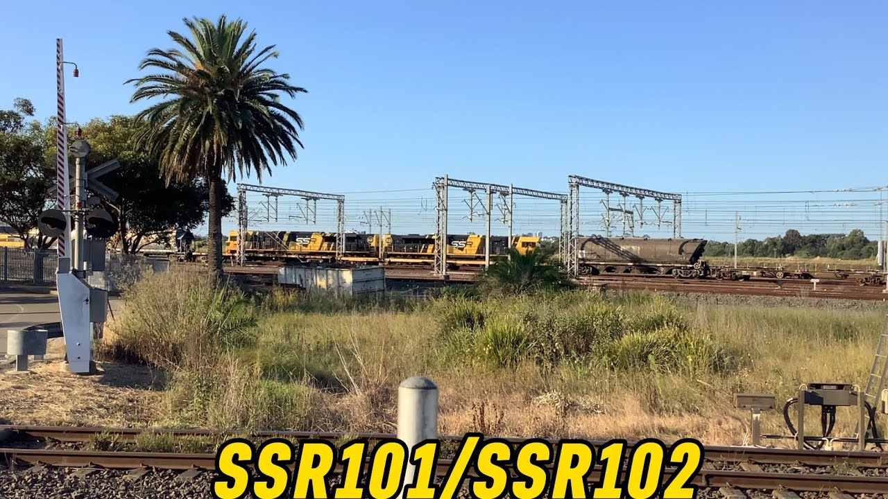 *4K IMPROVED* Chullora Enfield Yard Action! #trains #australia #4k ...
