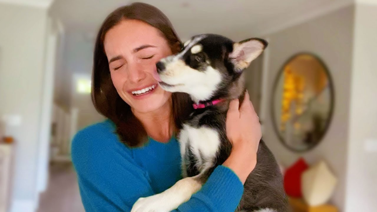 Puppy meets her new Mom! - YouTube