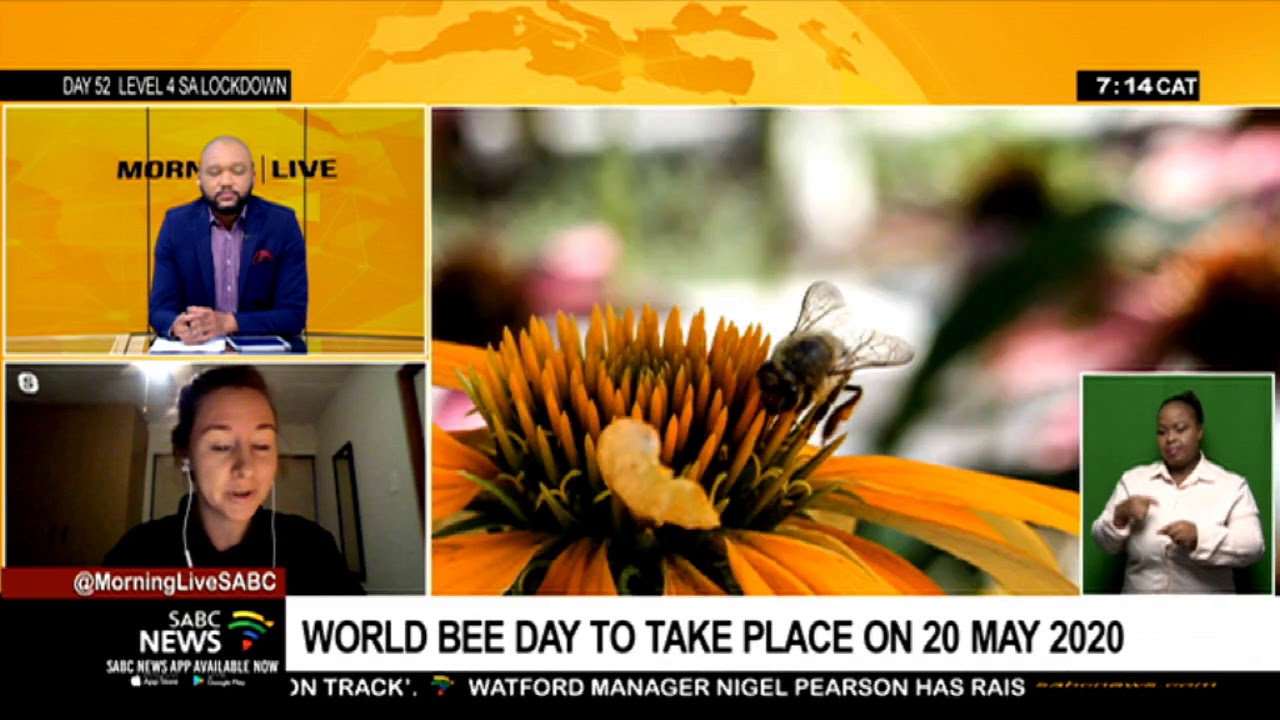 World Bee Day to be celebrated on Wednesday - YouTube