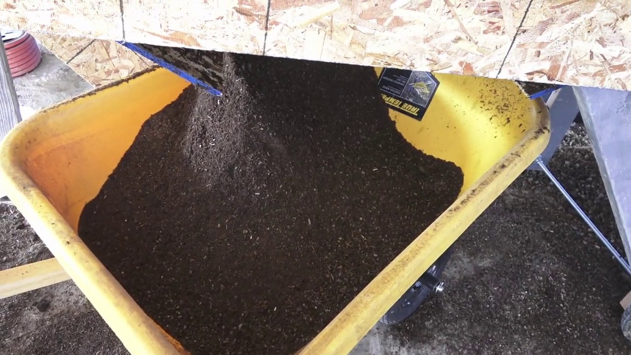 Feeding time at the worm farm a better finer grain food - YouTube