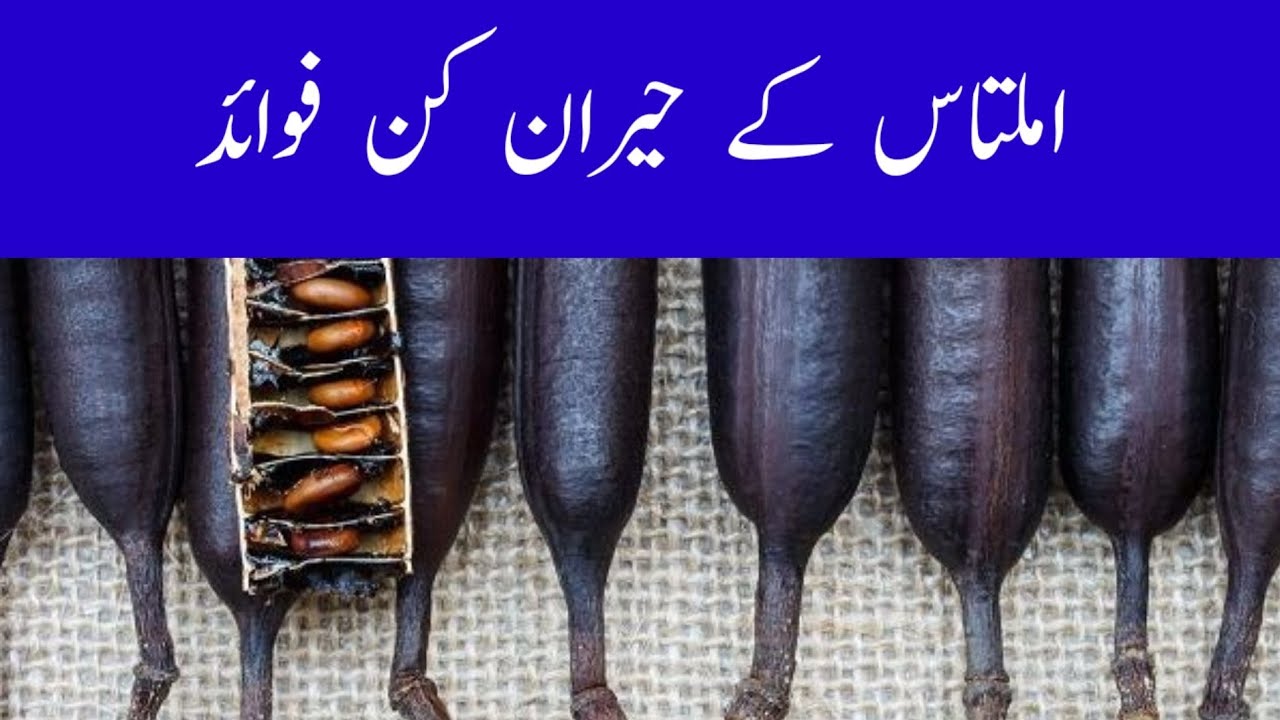 Amaltas Ke Fayde In Urdu | Amaltas Ke Phool Ke Fayde | Amaltas Tree ...