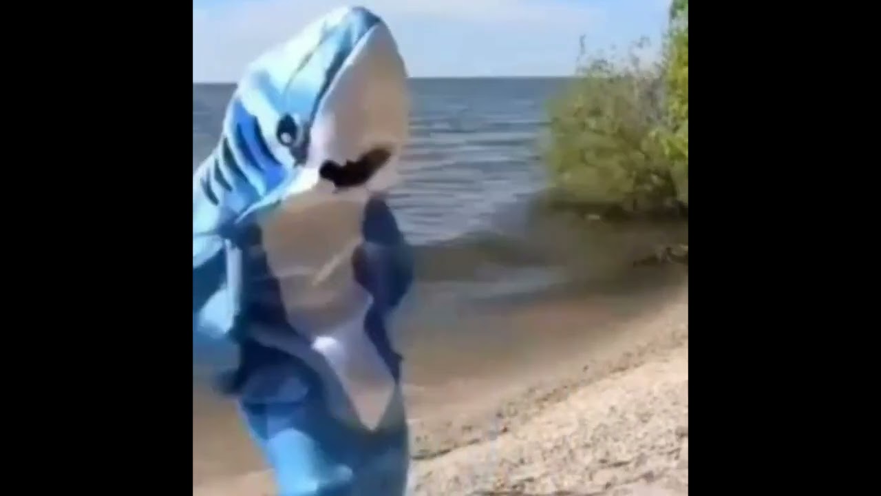 Shark Dances - YouTube