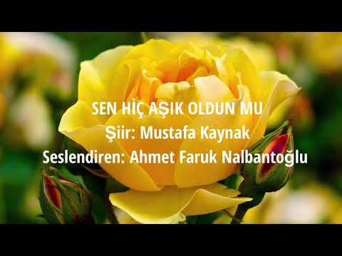 SEN HİÇ AŞIK OLDUN MU - Mustafa Kaynak - Ahmet Faruk Nalbantoğlu