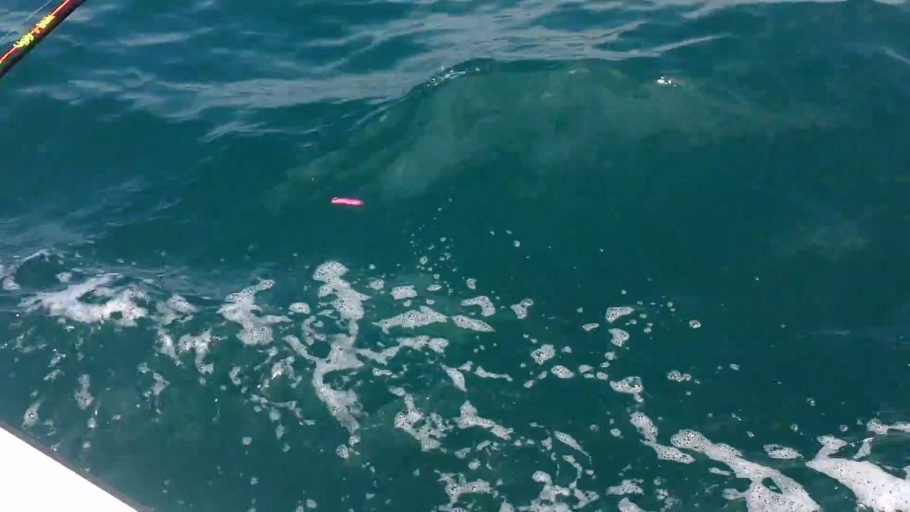 Port O' Connor, Texas Kingfish on the line! - YouTube