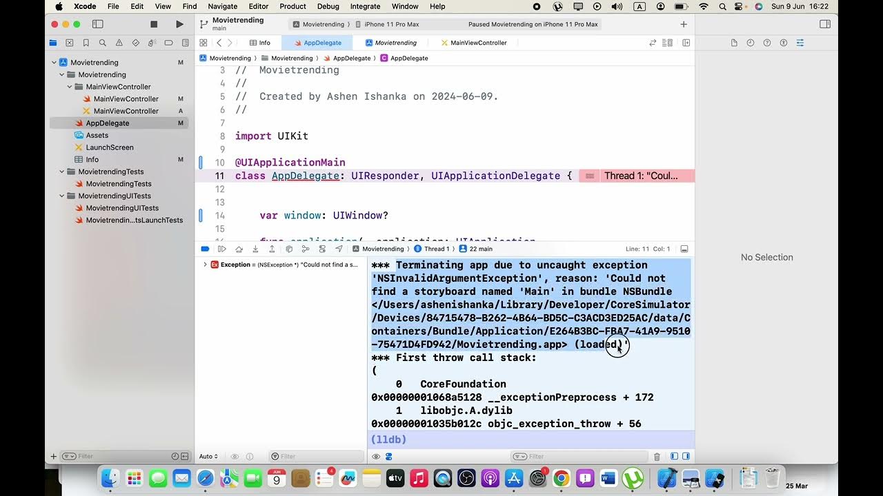 'NSInvalidArgumentException', reason: 'Could not find a storyboard named 'Main' in bundle ...