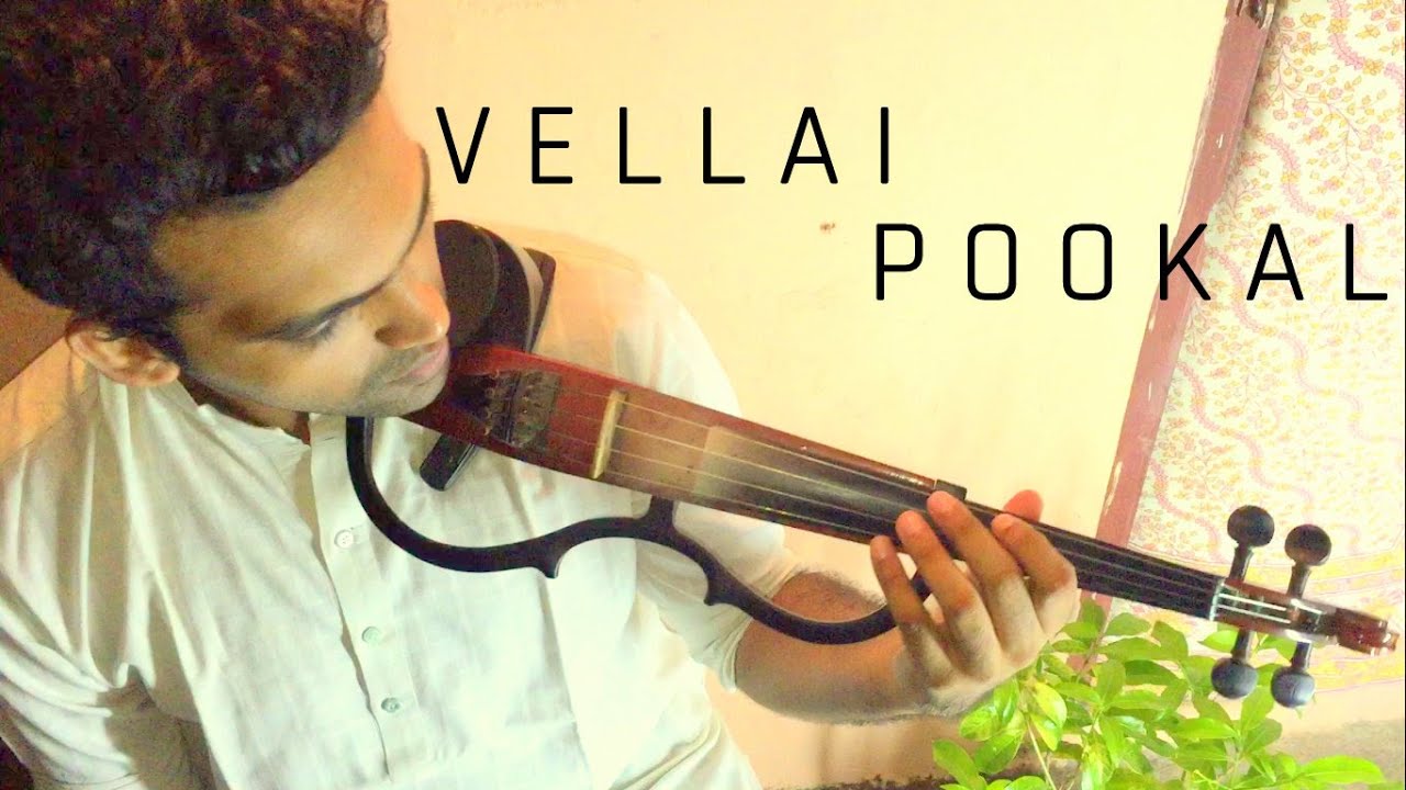 Vellai Pookkal - A.R. Rahman | STRINGS Cover - Keethan, Manoj, Ábel ...