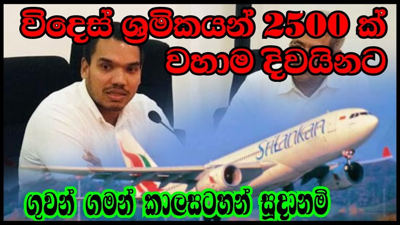 Repatriation Flights ready to fly around the world | Time table - YouTube