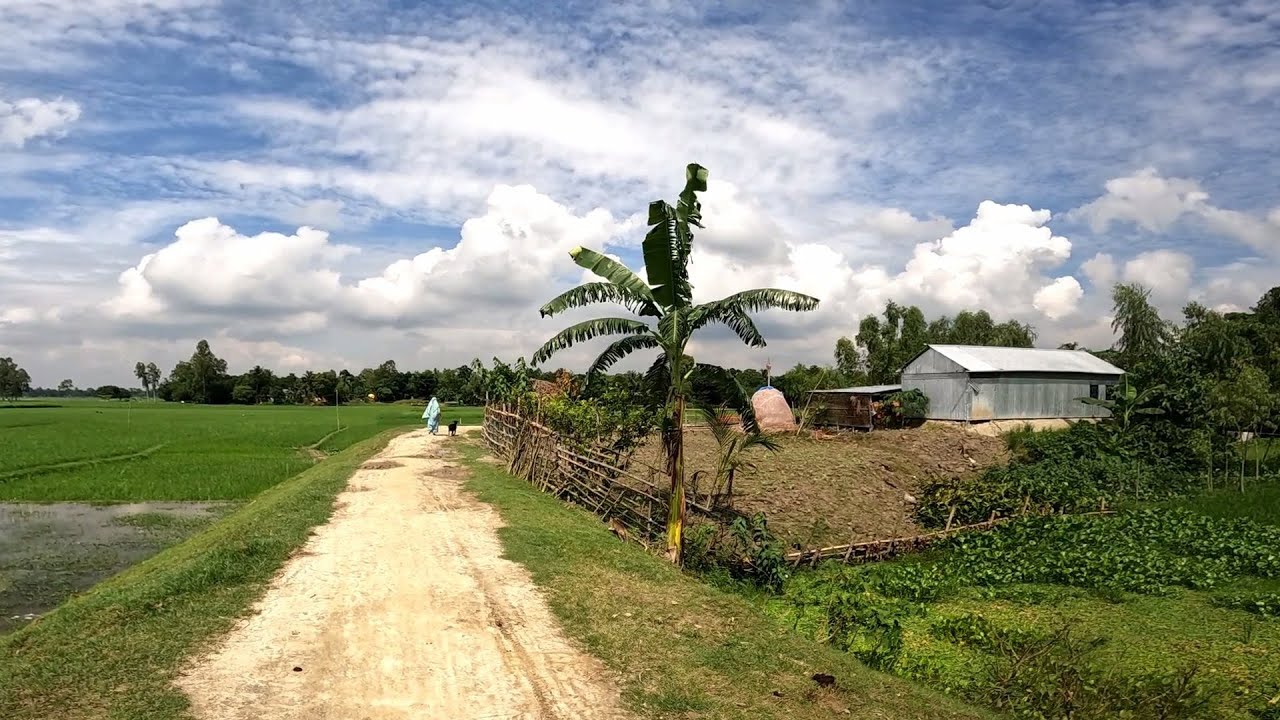গ্রামীণ বাংলার অপরূপ সুন্দর দৃশ্য। Bangladesh Village Raw Scenery। Gram ...