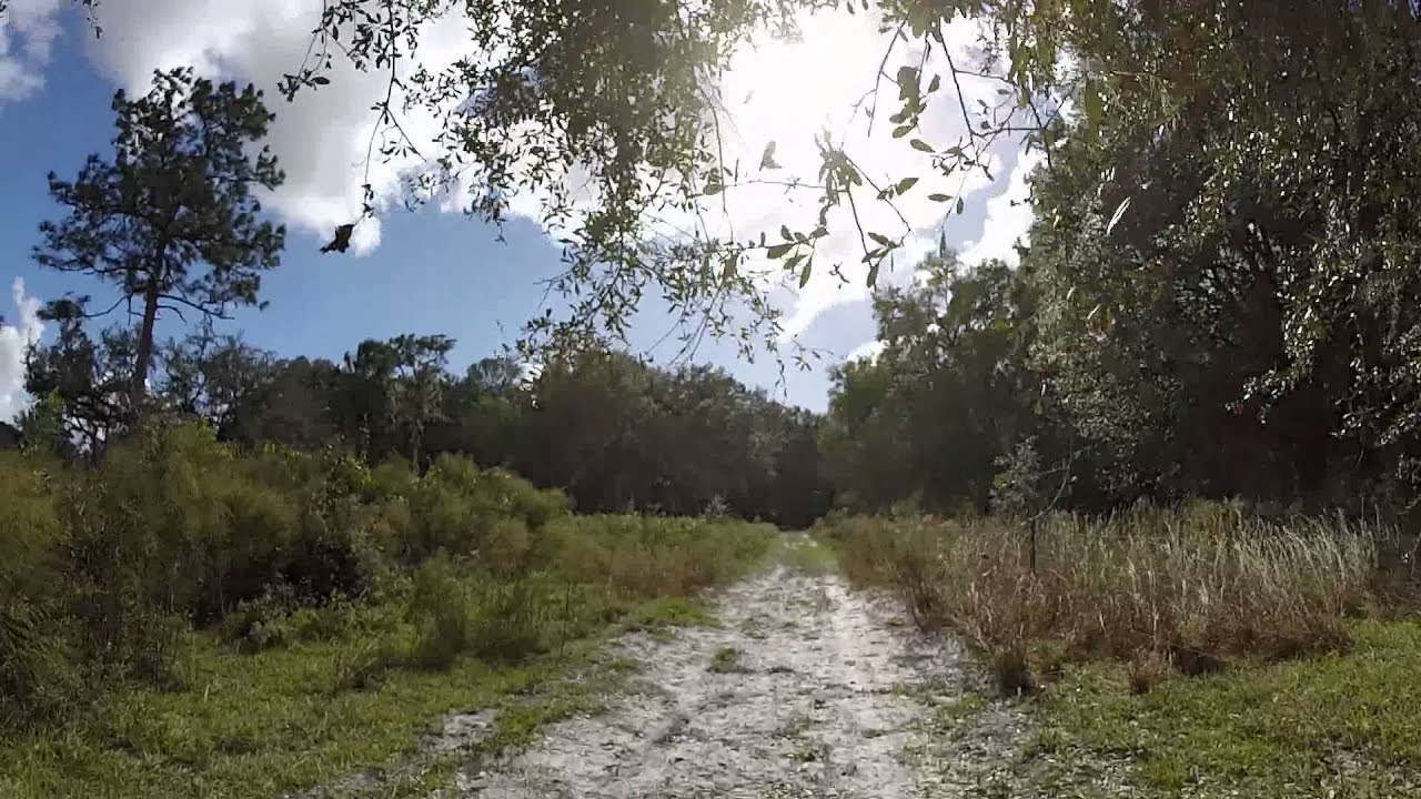 Exploring Old Roads in Half Moon Wildlife Management Area - YouTube