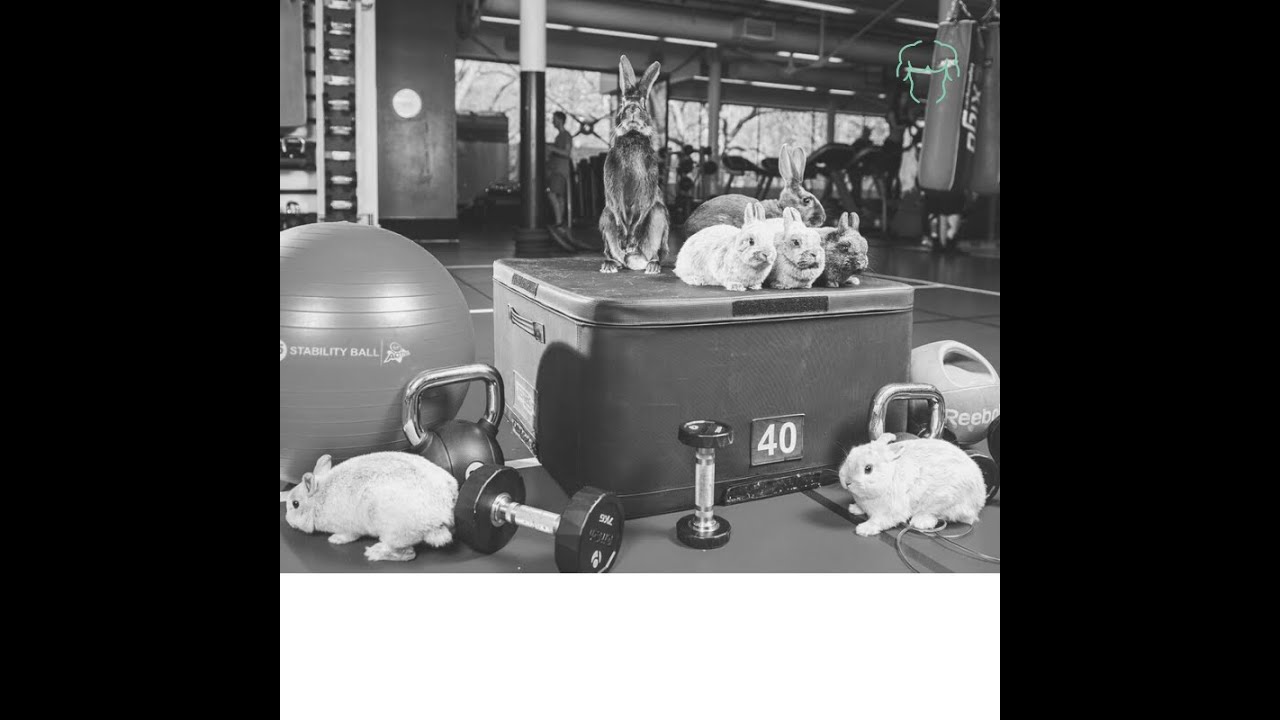 Easter workout! - YouTube