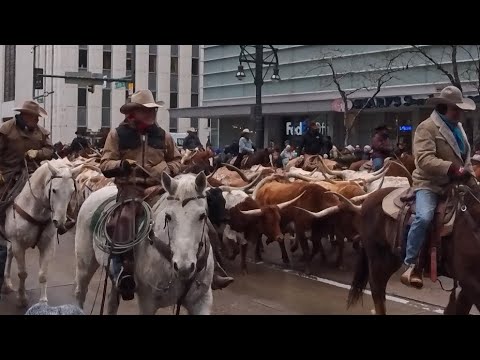 National Western Stock Show Kick-Off Parade 2026 - YouTube