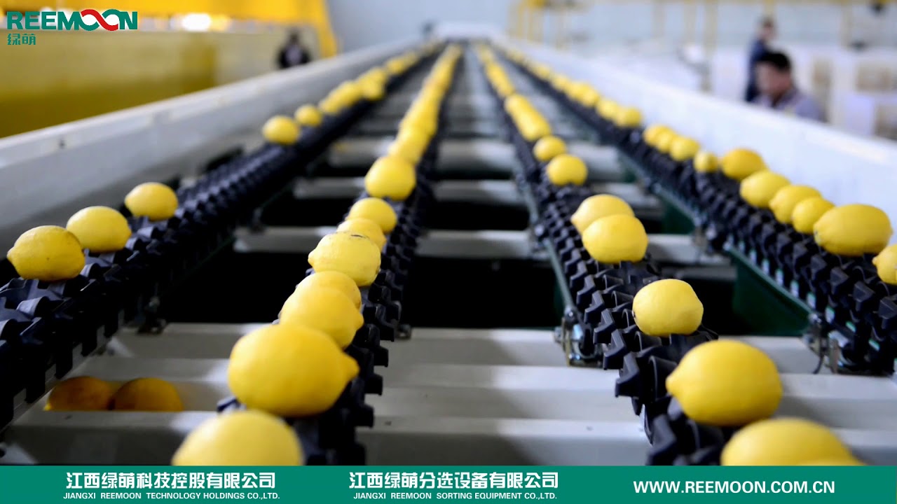 REEMOON Technology - YouTube