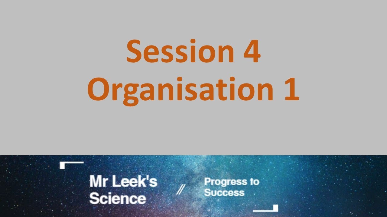Session 04 B2 Organisation 1 AQA Combined Science - YouTube