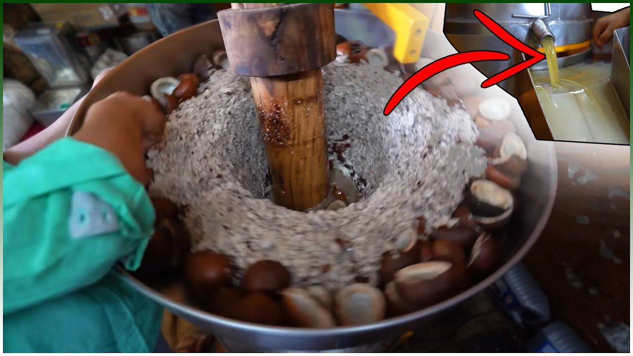 100% Pure and Natural COCONUT OIL Making - YouTube