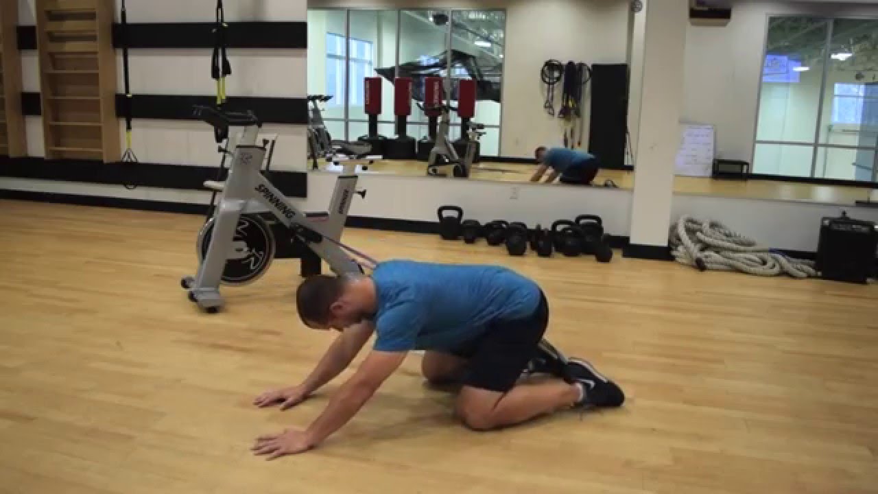 Quadruped Rocking Hip Mobilization - YouTube