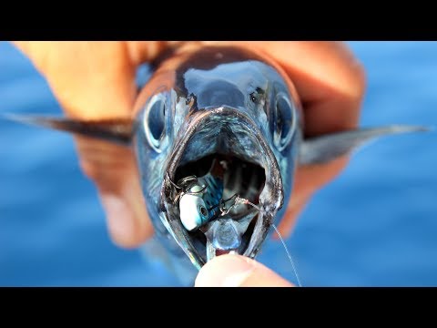 Balık Mıknatısı İle Torpidoları Topladık / Çok Önemli Bilgiler !!