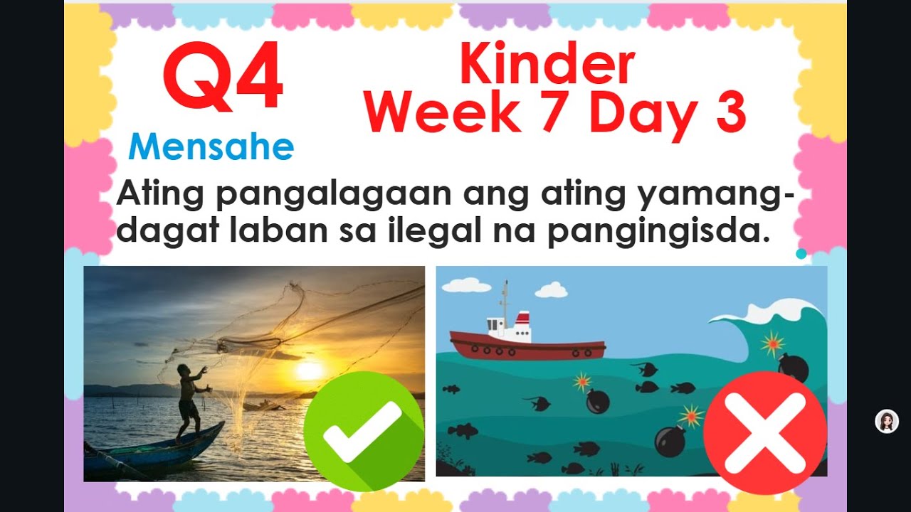 Quarter 4 Kinder Week 7 Day 3 Photo Chat Notice and Wonder - YouTube