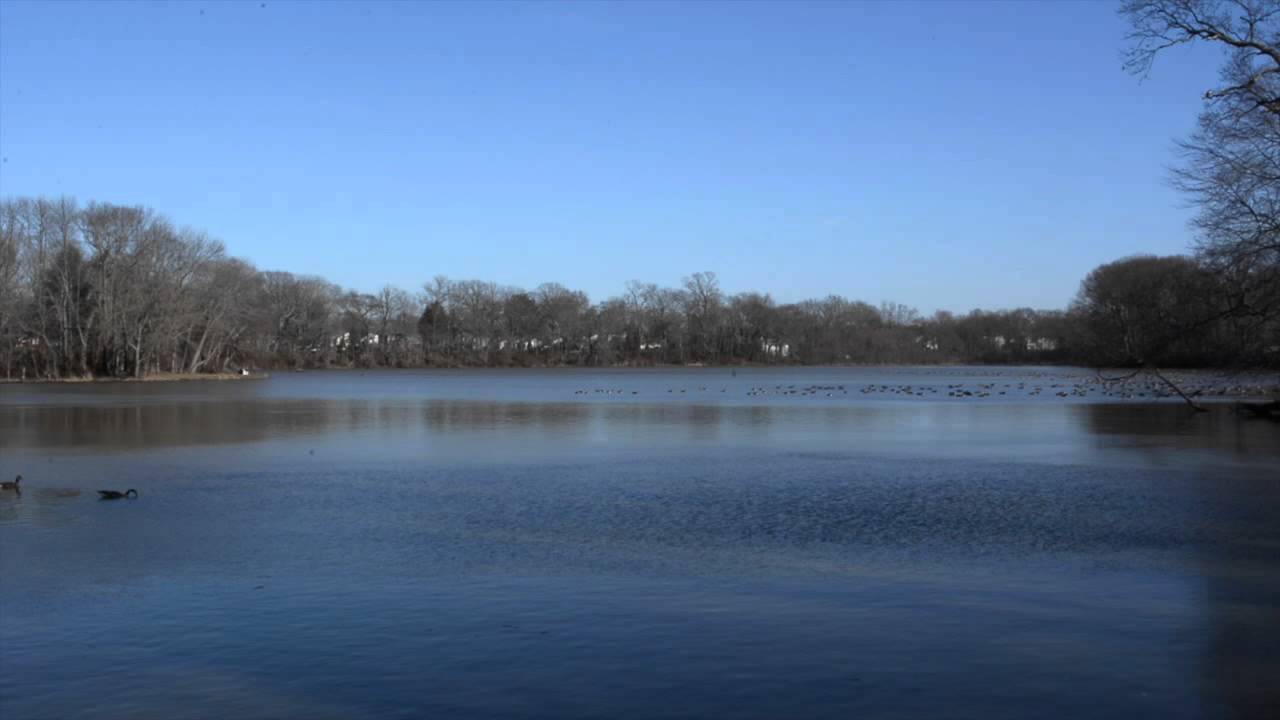 Allentown Lake - YouTube