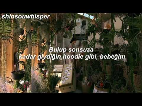 half•alive - summerland türkçe çeviri