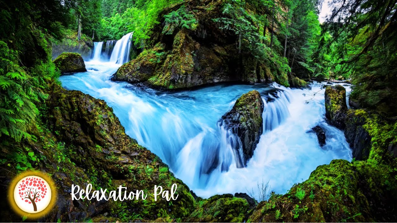 Relaxing Pal with Water Sounds - Relaxation, Sleep Music, Study Music ...