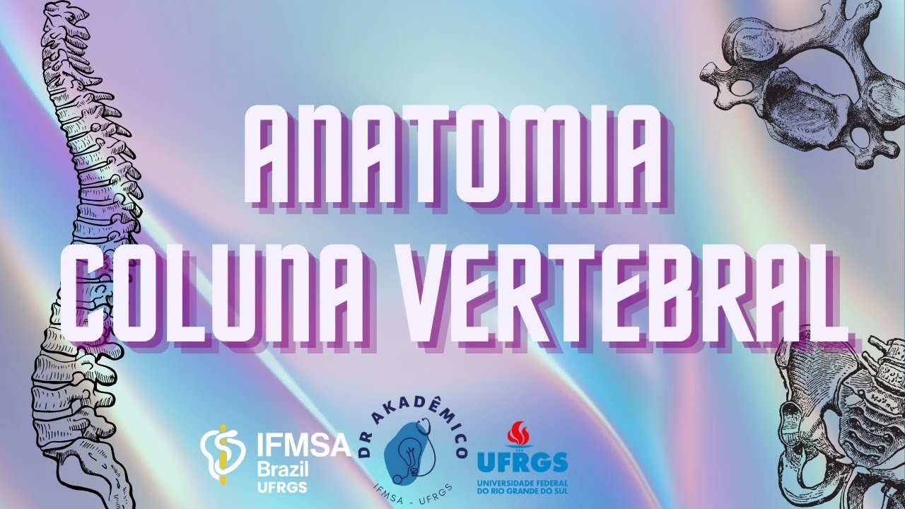 Anatomia da Coluna Vertebral - por Eduarda Teixeira - YouTube