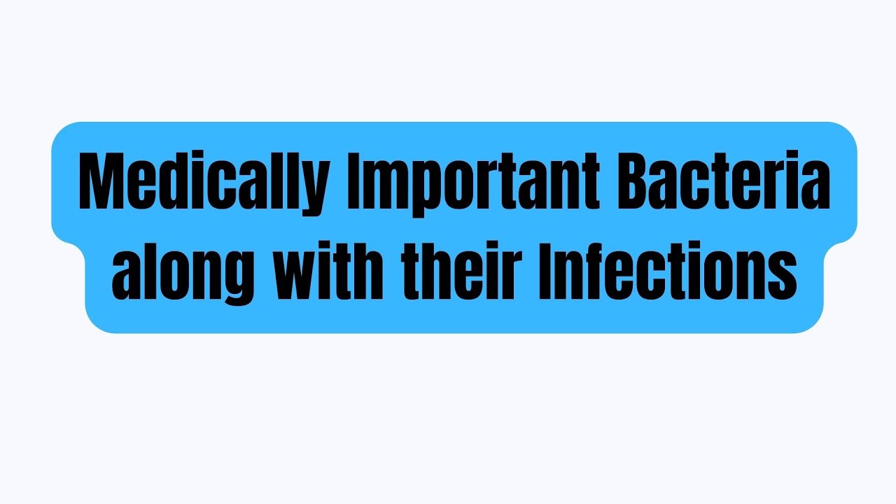 Medically Important Bacteria along with their Infections | You must ...