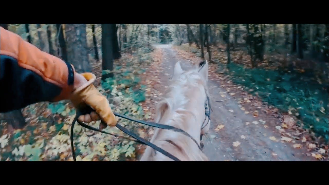 GoPro Chest Mount | Horse Riding - YouTube