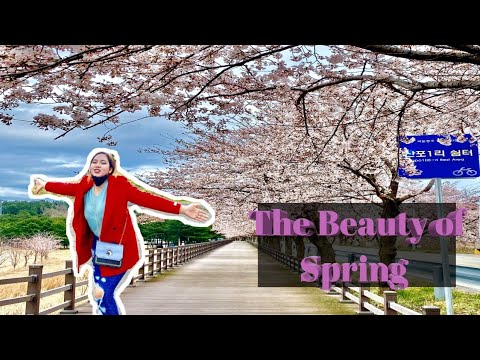 South korea | 4 seasons (Spring, summer, fall, winter) | March~April ...