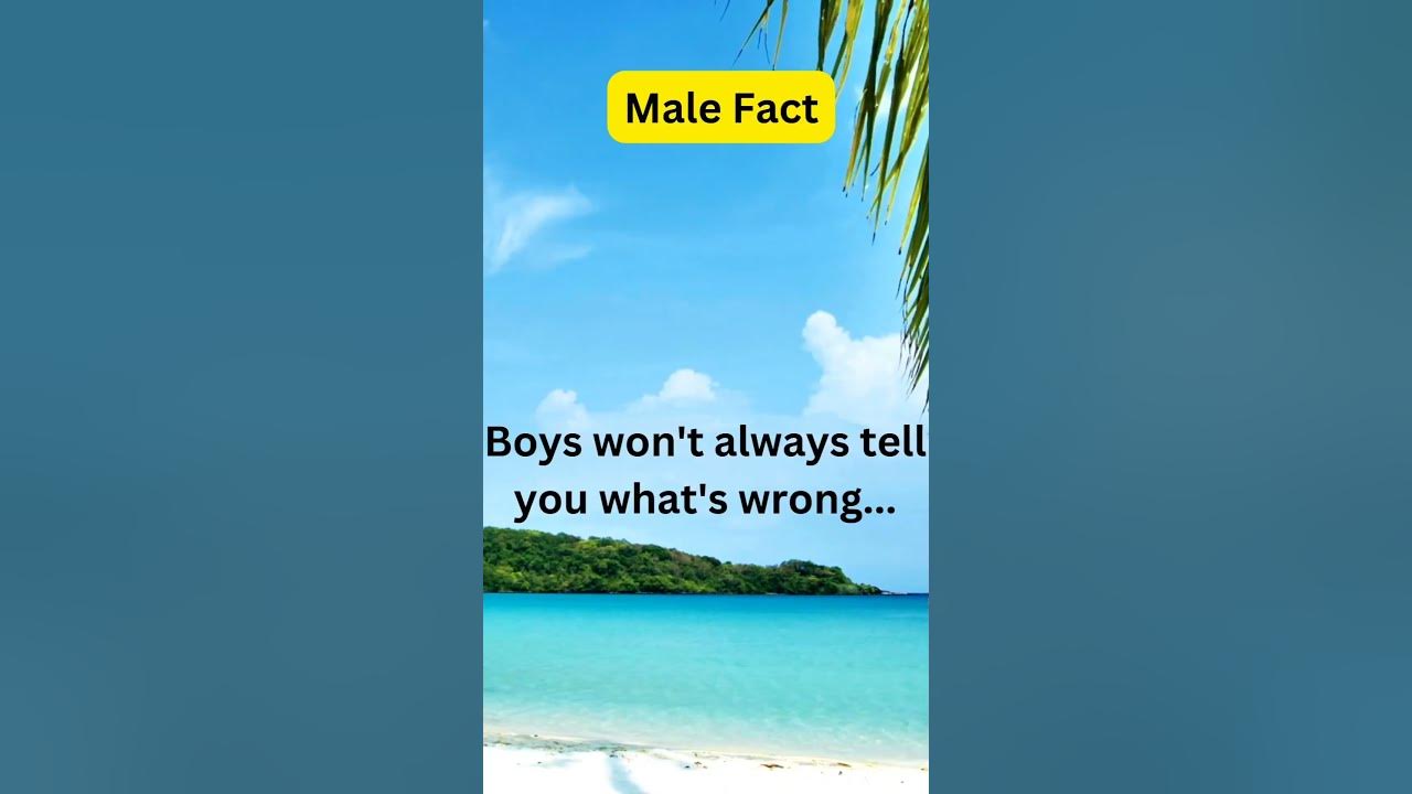 Male Facts YouTube male-facts-youtube