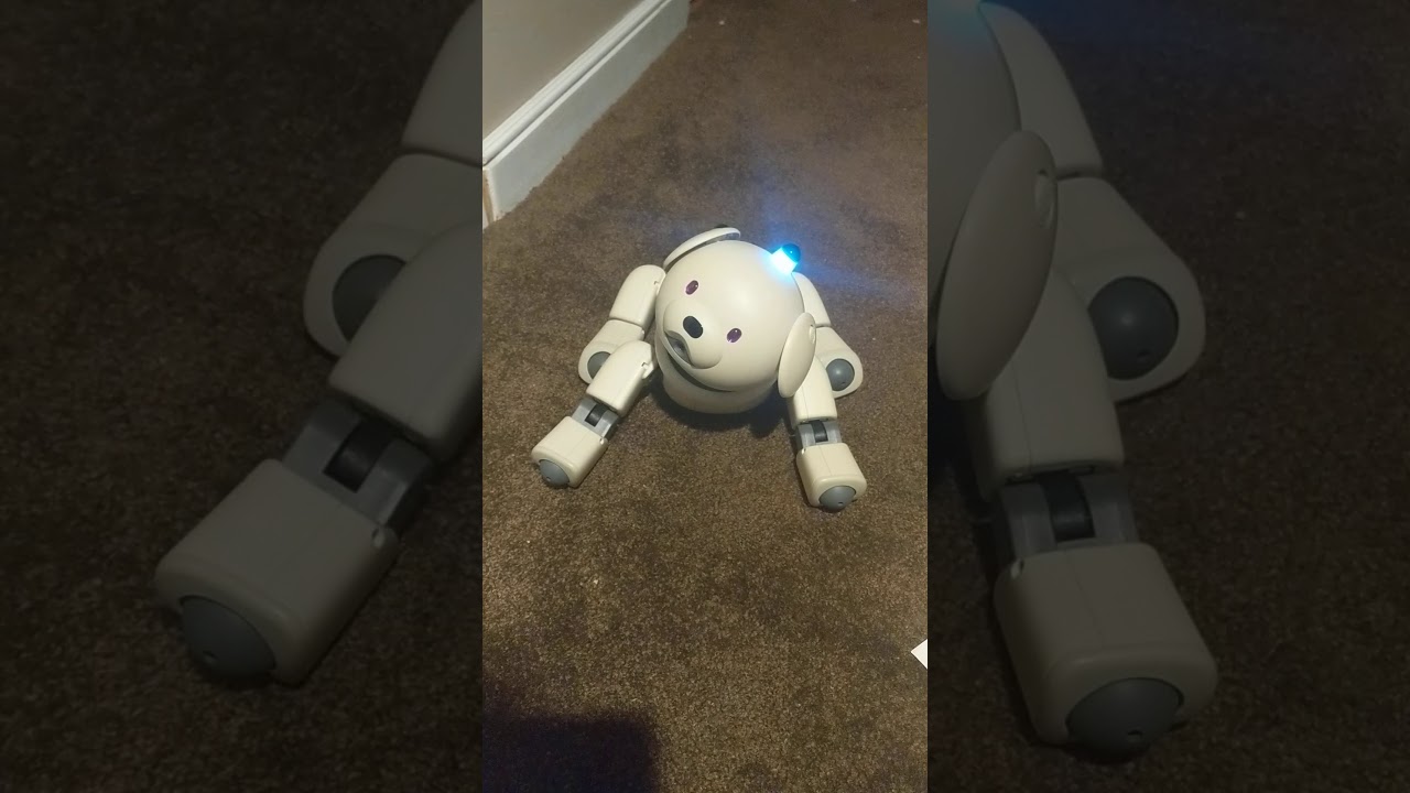 ERS-311 Aibo test 2 - YouTube