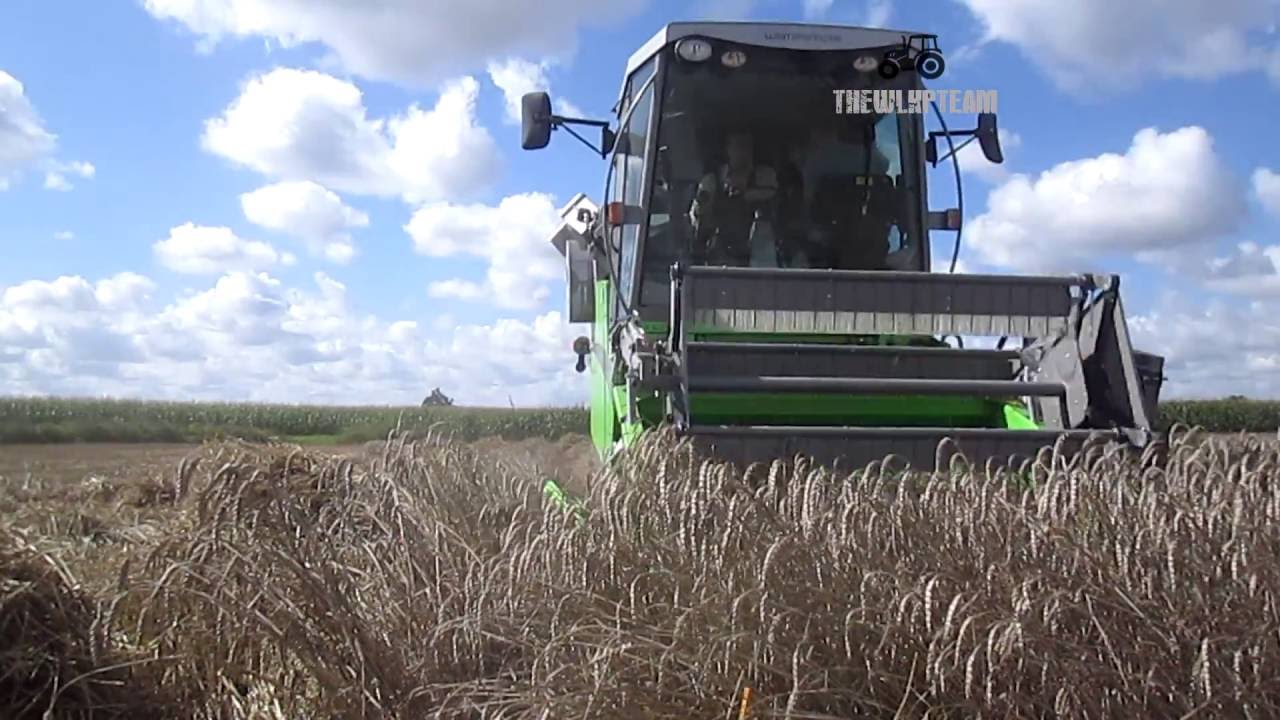 Żniwa 2016 Poletka Wintersteiger Delta - YouTube