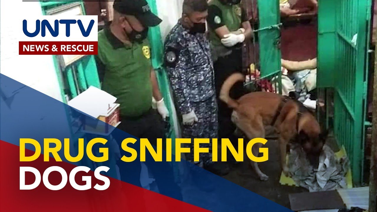 4 narcotics detection dogs, ibinigay ng provincial government sa PDEA ...