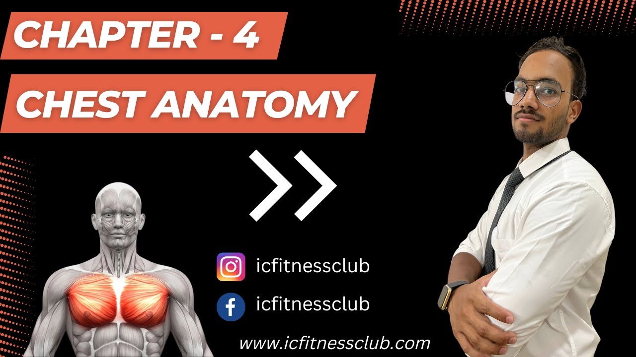 Chest Anatomy | Chapter-4 | Personal Trainer Course | IC Fitness Club ...
