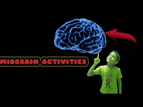 MIDBRAIN ACTIVITIES - YouTube